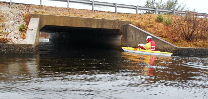 NBIS BRIDGE INSPECTION - Hoyle Tanner
